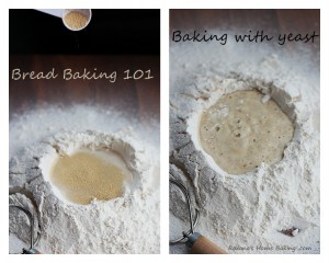 Bread Baking 101 - Baking with Yeast