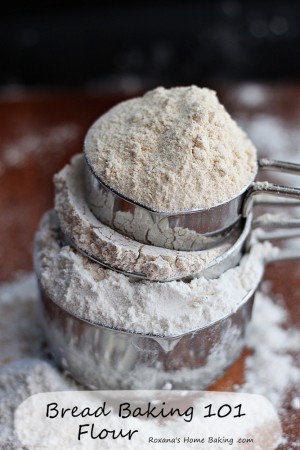 Bread Baking 101 - Types of flour and how to accurately measure flour ...
